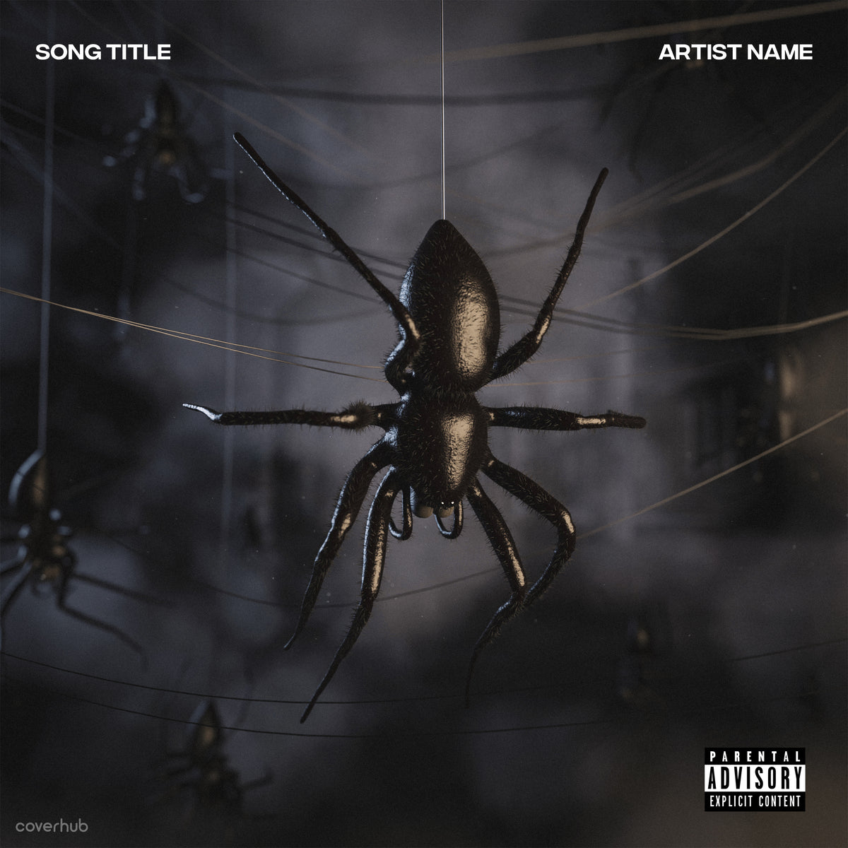 SPIDERS – Coverhub